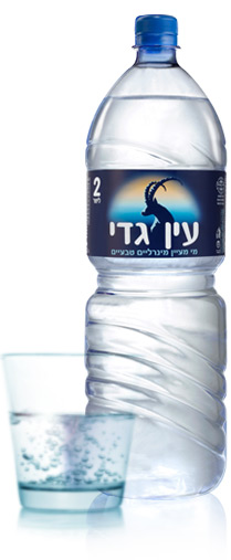 Ein Gedi and Water – Elliot Ritzema